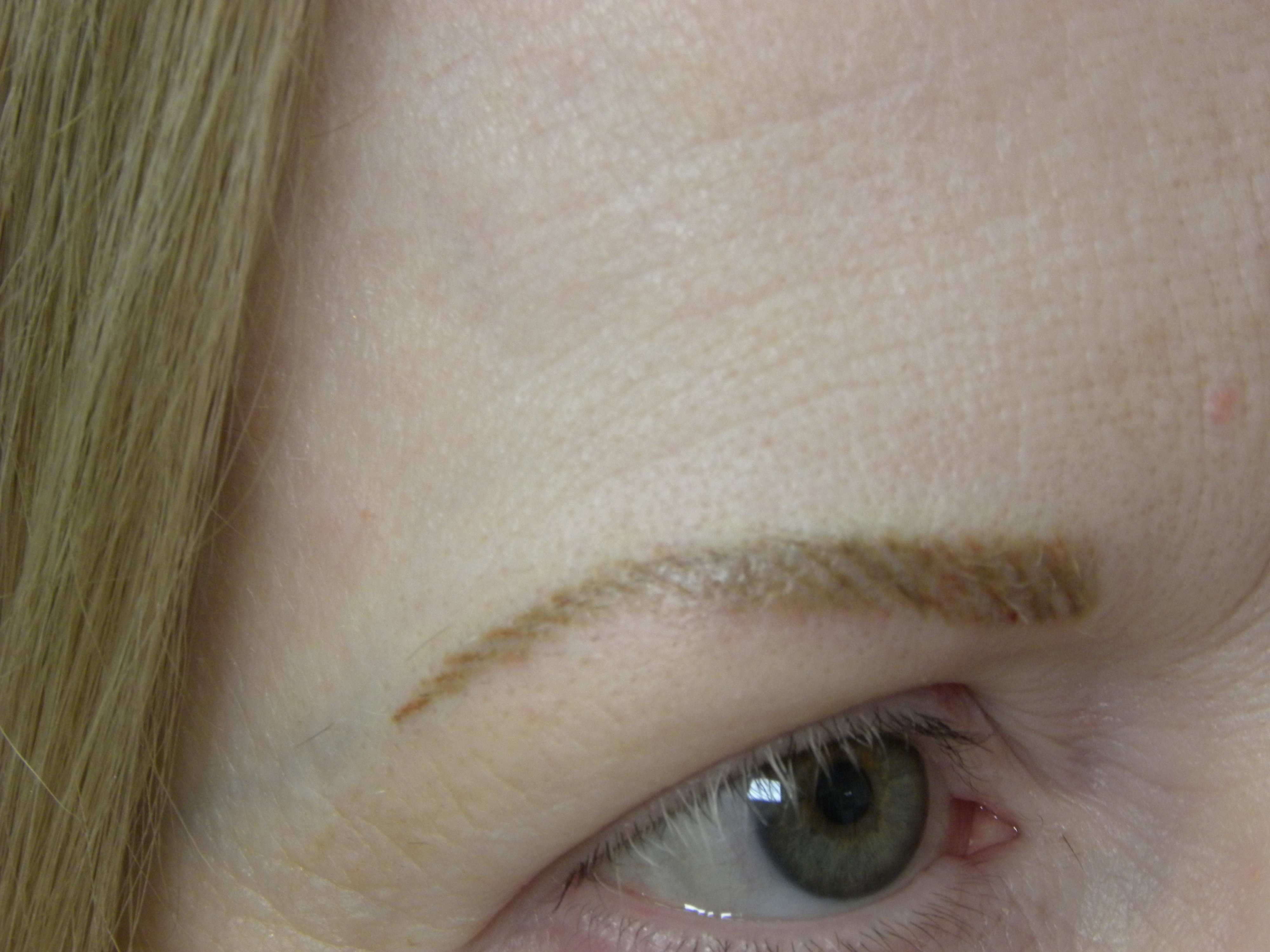 Eyebrows - Esthetics NW Services LLC